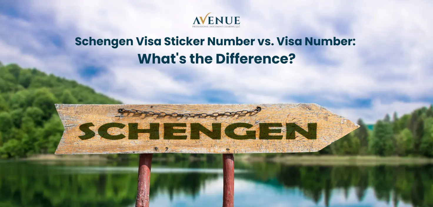 Schengen Visa Sticker Number vs Visa Number: Key Differences Explained